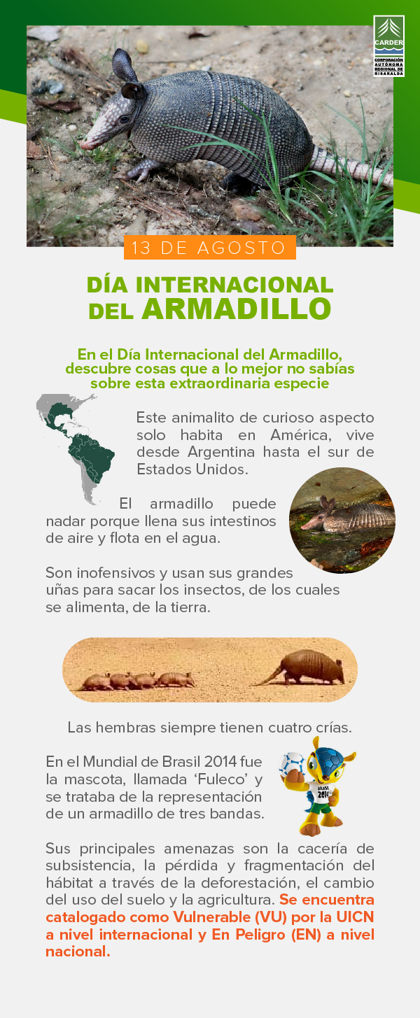 Día Internacional del Armadillo – CARDER