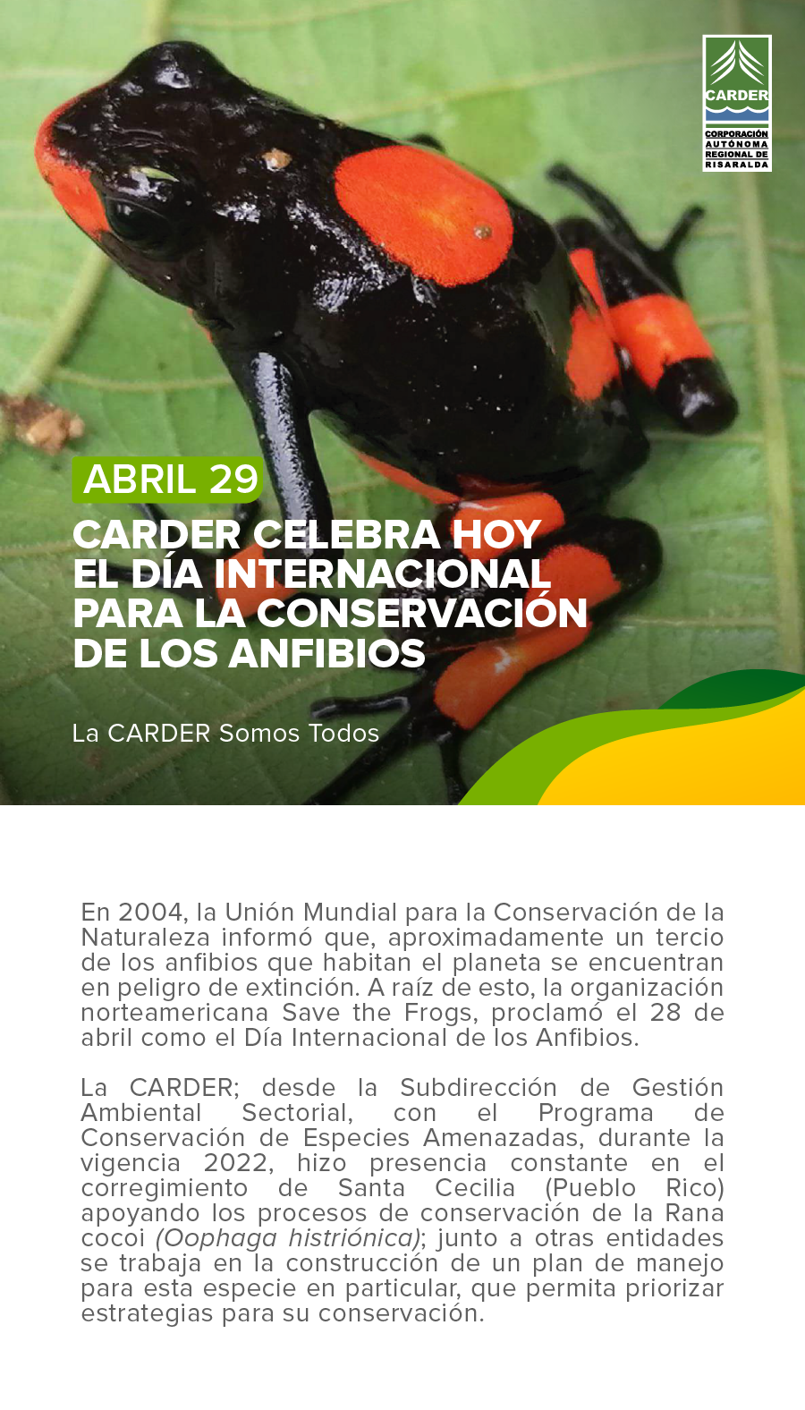 Día Internacional para la Conservación de los Anfibios – CARDER