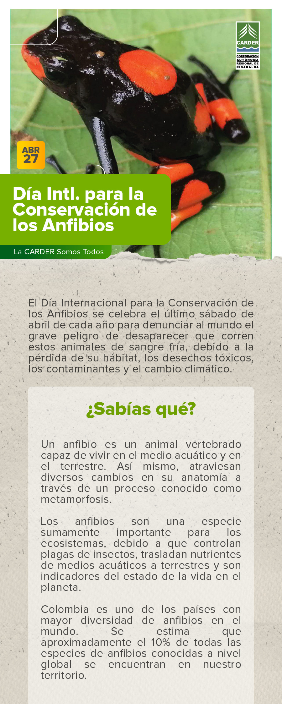 Día Internacional para la Conservación de los Anfibios. – CARDER