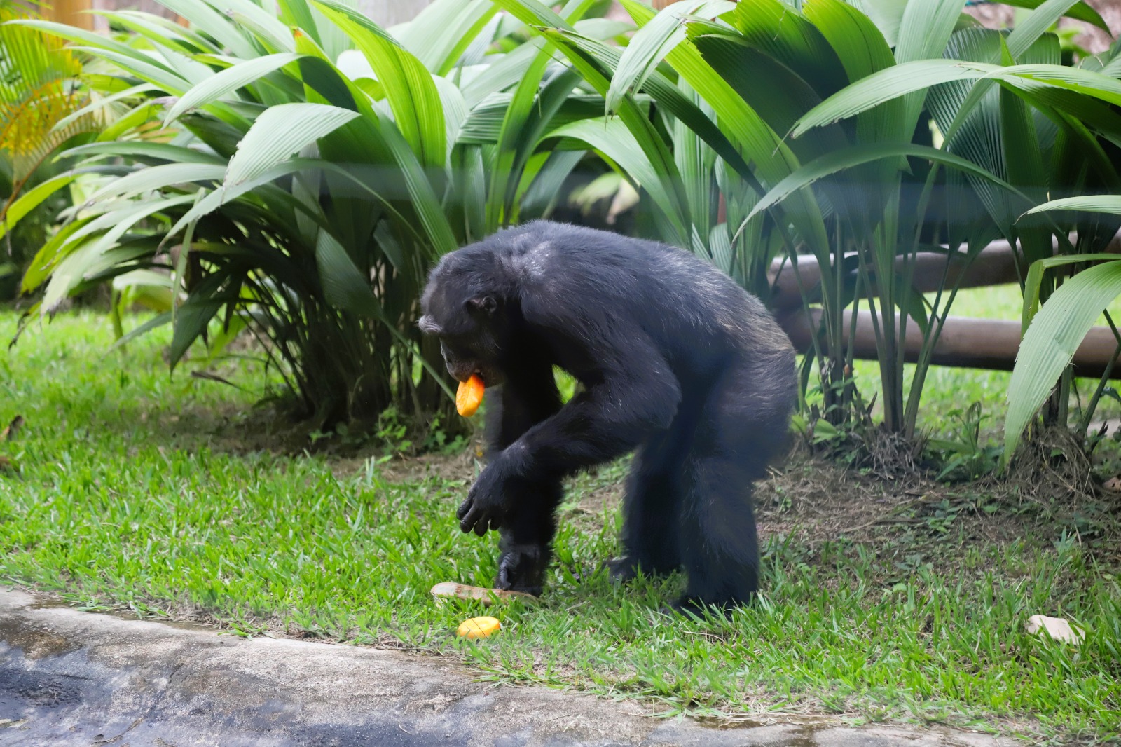 La Carder – CARDER