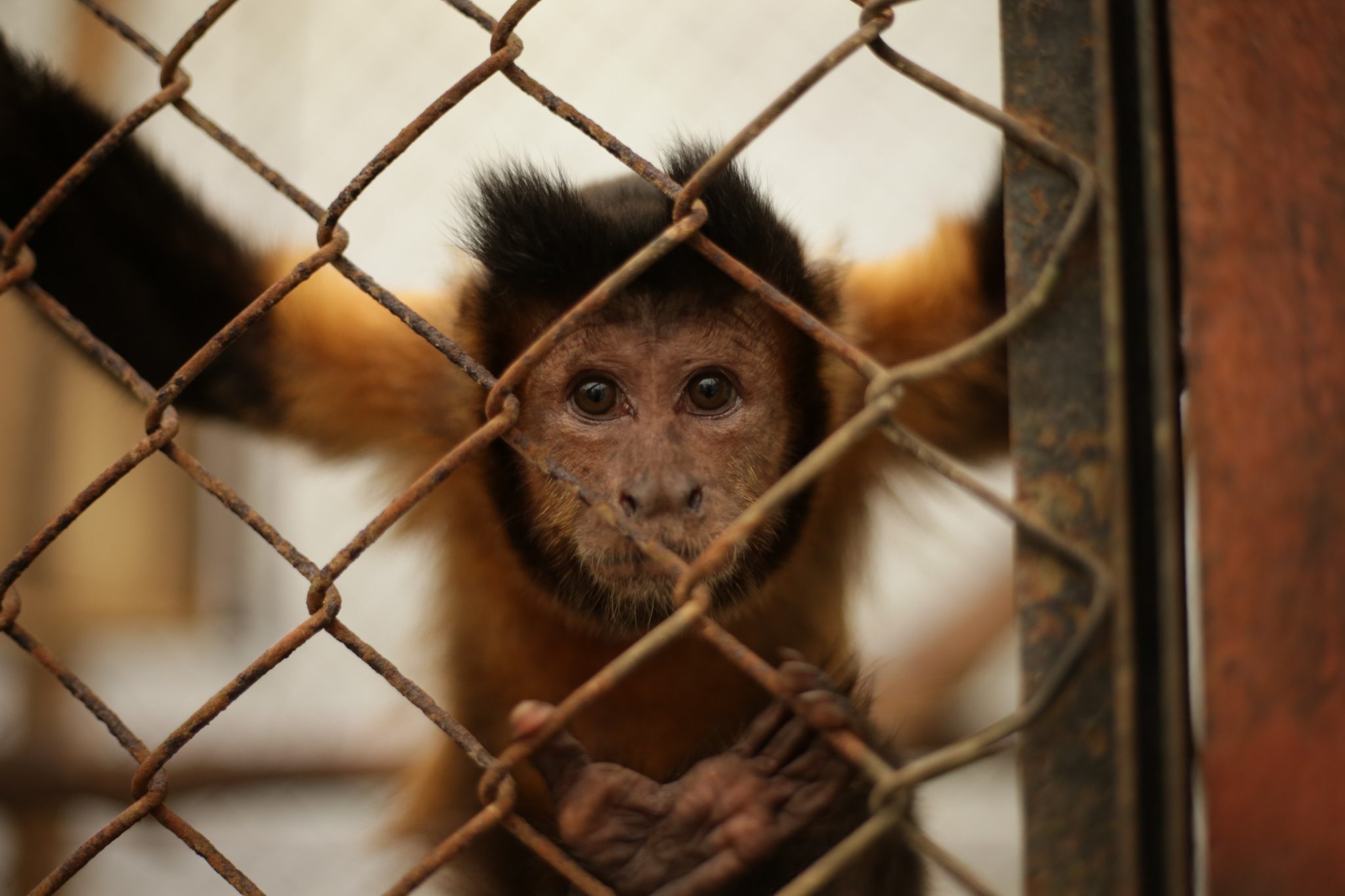 La Carder – CARDER