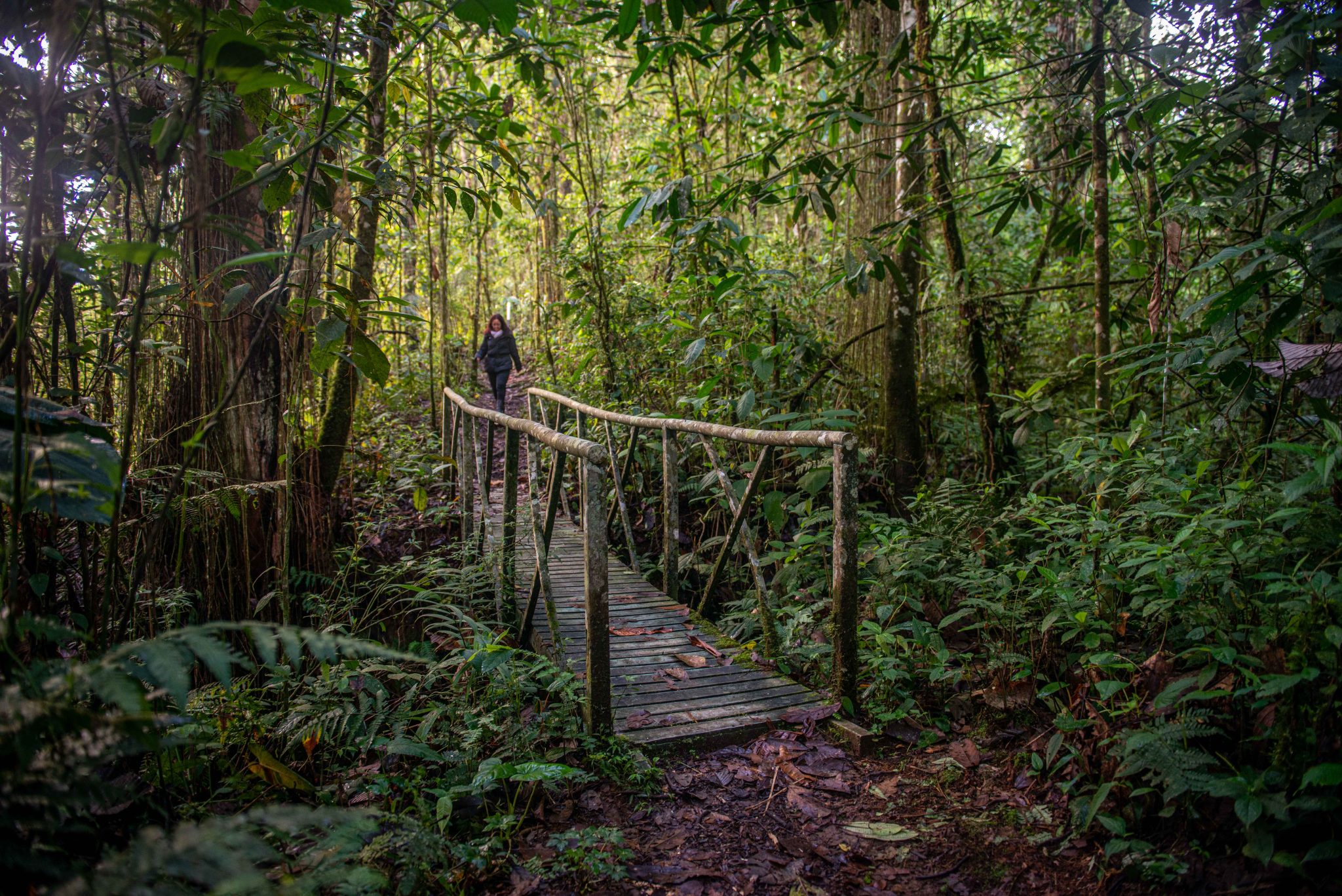 La Carder – CARDER